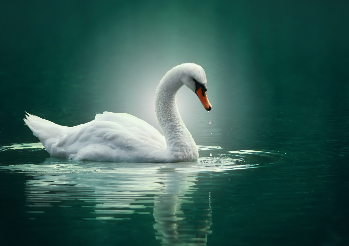 Do Twin Flames Really Exist Is It All in Your Head | by ...