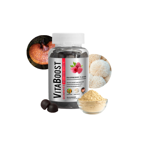 The 10 Best Mushroom Extracts for Optimal Health and Well-Being: Vitaboost Mushroom Complex 10x ...