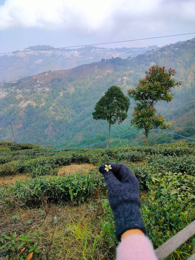 Getting Started With Mongodb Explain By Guy Harrison Mongodb Performance Tuning Medium