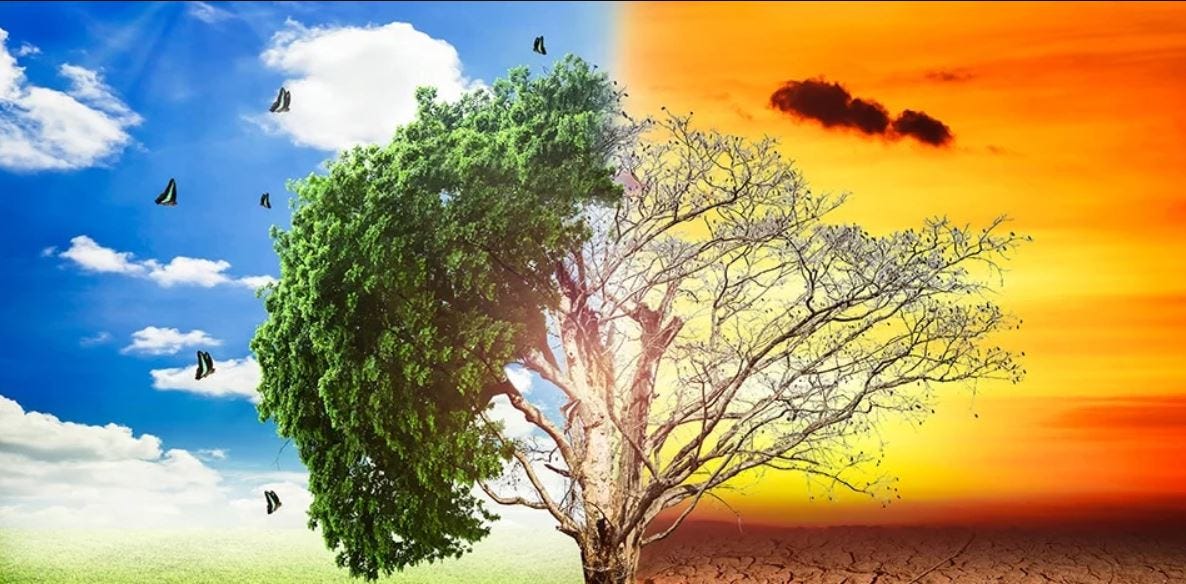 Neon, server-less Postgres with Nodejs | by Abuzar | Medium