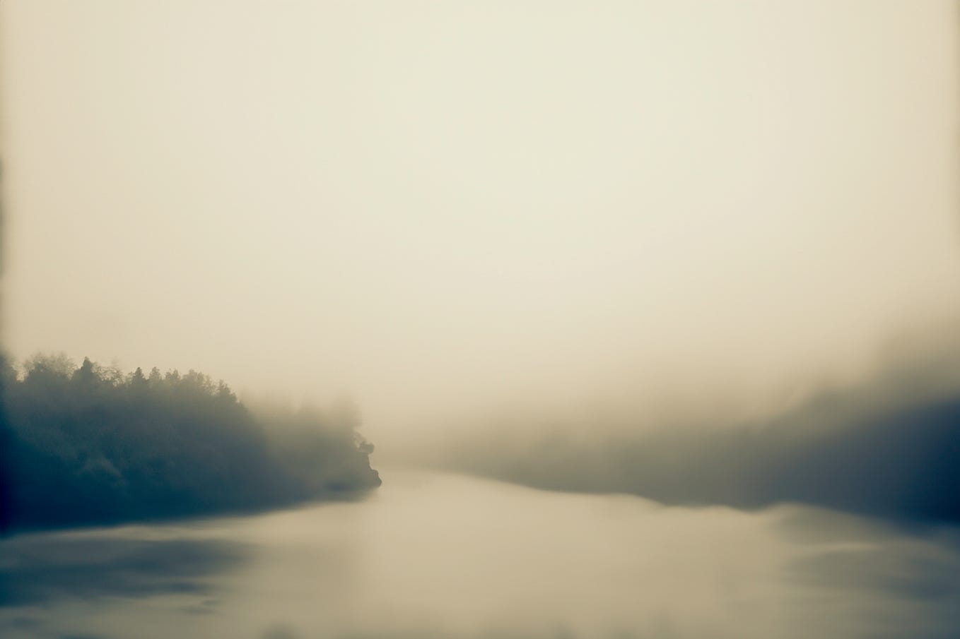 The Enduring Charm of Film Photography and its Surprising Comeback | by ...