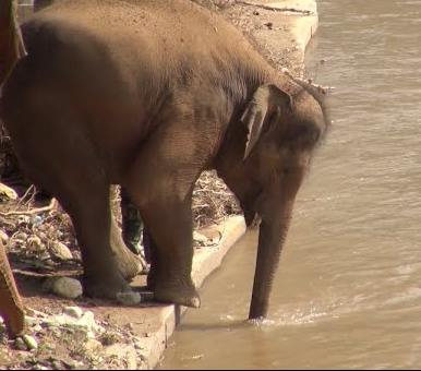 Optimise INSERT, UPDATE and DELETE in PostgreSQL using best indexing strategy | by Shailesh ...