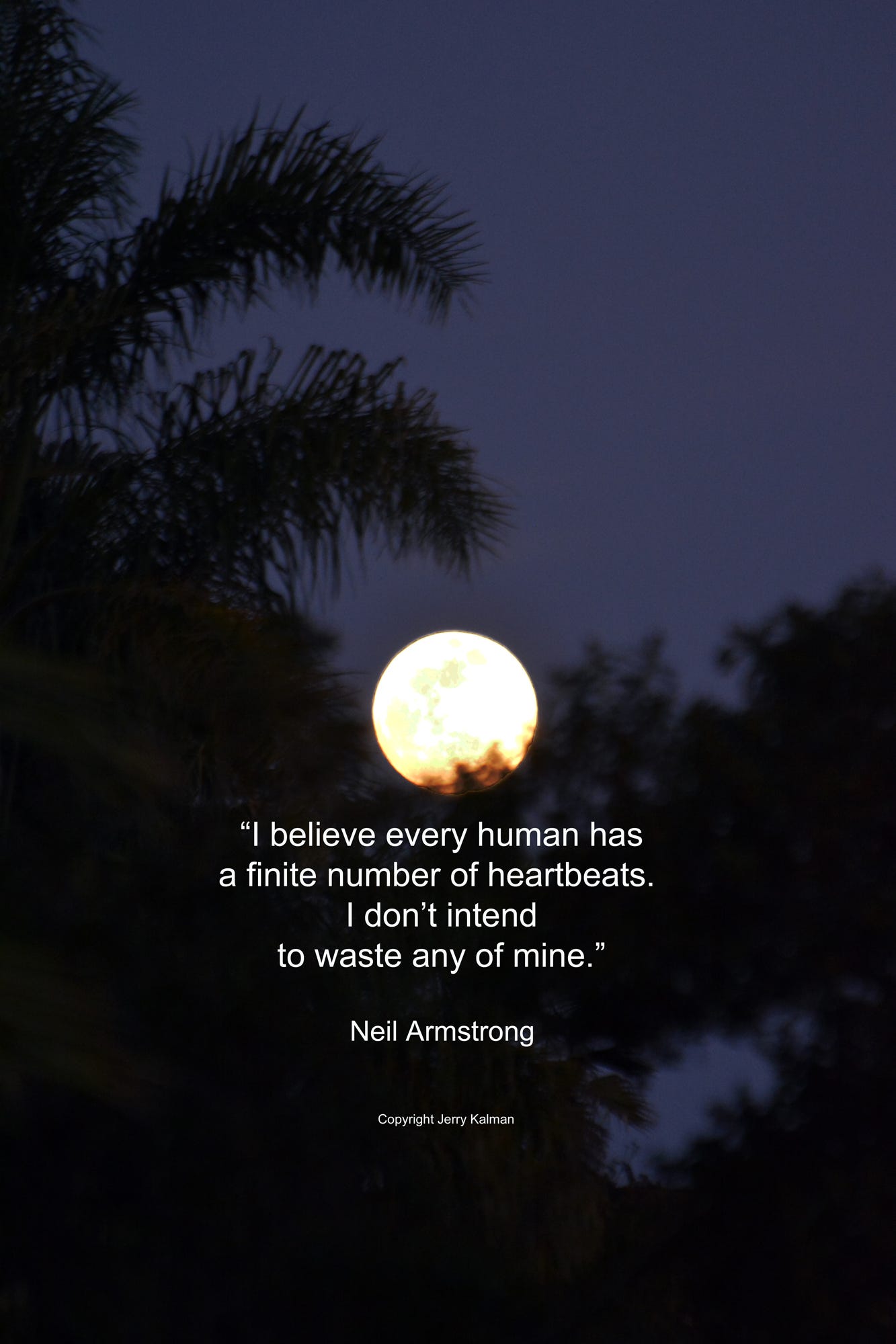Neil Armstrong Quote On The Moon