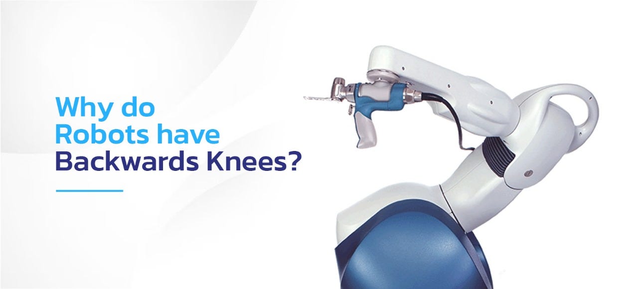 Navigating Excellence : Understanding the Success Rate of Robotic Knee ...