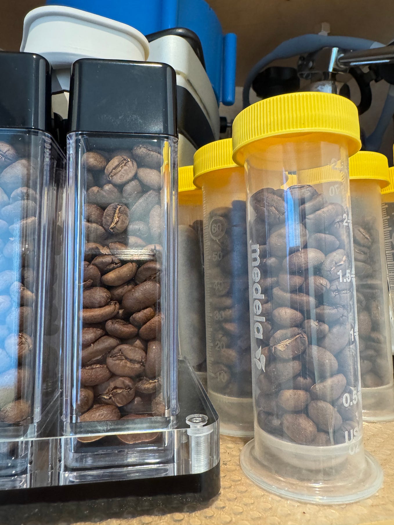 Great American Coffee Taste Test Breakdown | by Robert McKeon Aloe | Medium