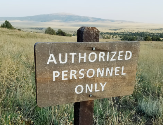 Angular — required roles directive | by Fabian Saacke | Level Up Coding