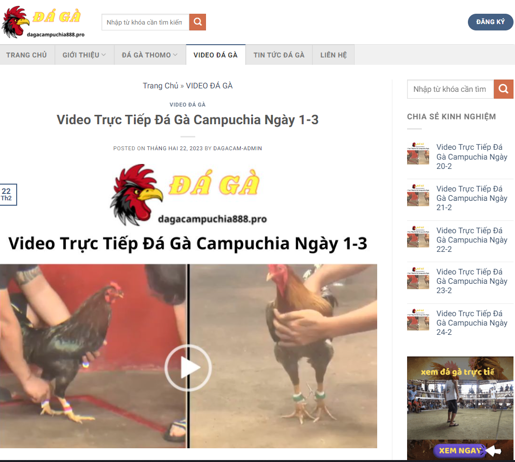 Da ga 2 3 2023 truc tuyen Campuchia Thomo moi nhat medium - dagacampuchia888 - Xem đá gà online ...