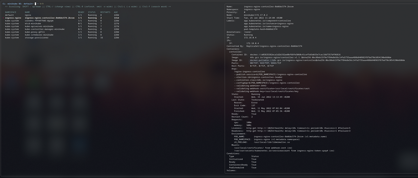 OWASP dependency-check. Solving problem of slow db downloading. Pretending to be a DevSecOps ...