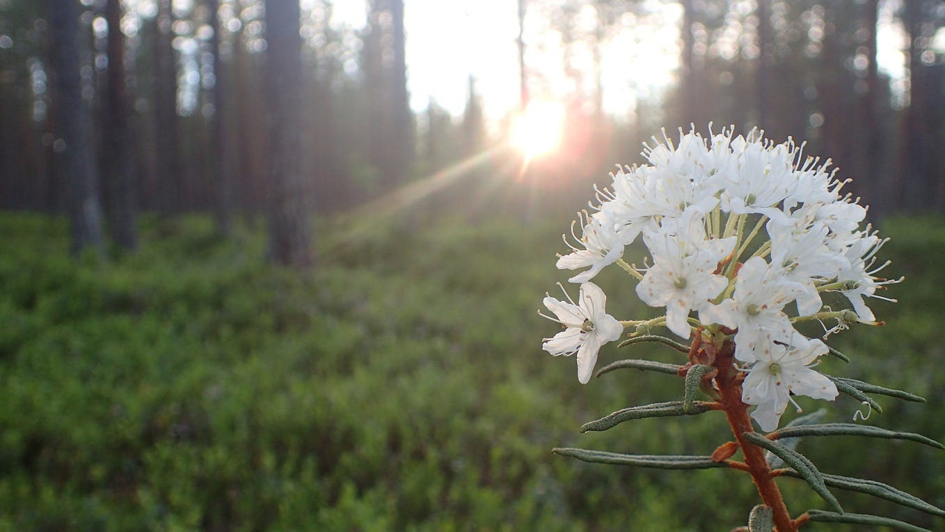 Control Charts in Power BI — the right way | by Craydec, Inc. | Medium