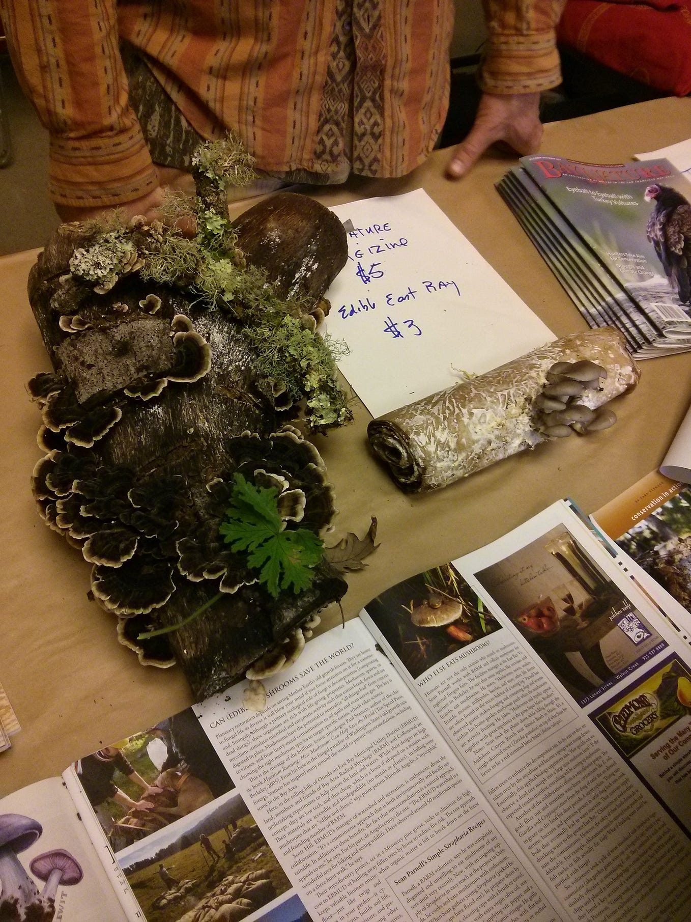 The circuitous path to mycotecture | by Philip Ross | MycoWorks Radio ...
