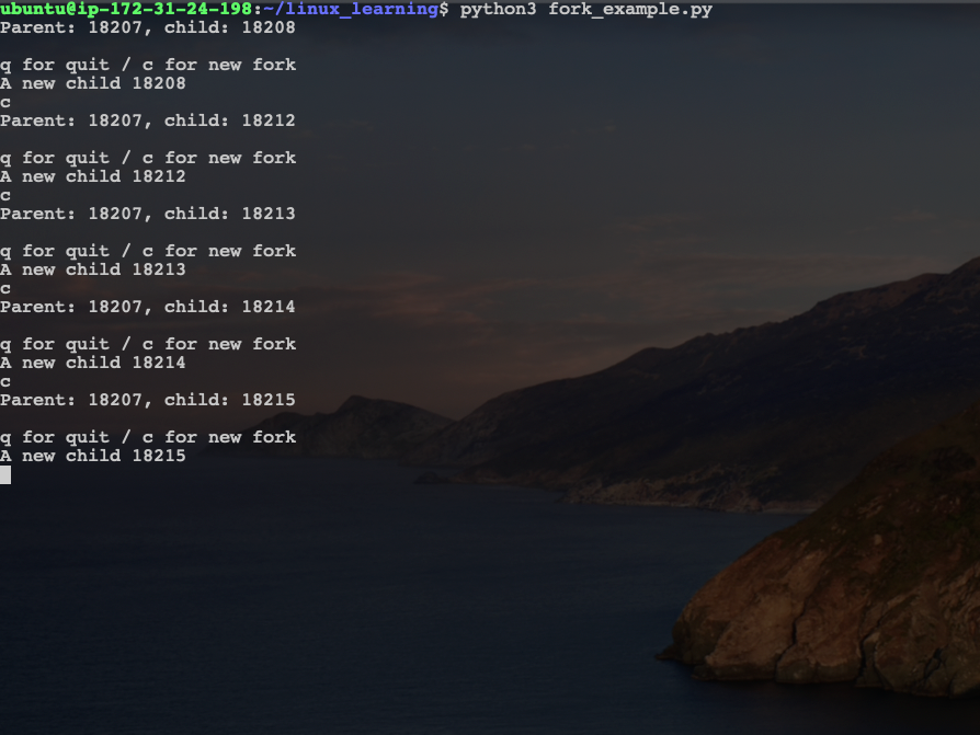 Basic Step Functions Input And Output And Lambda— Passing Data From One To Another By Rakesh M 9649