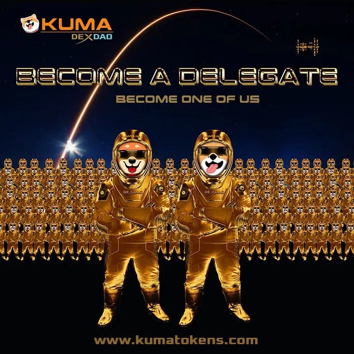 Kuma Community Team and hiring process structure | by Kuma Inu ...