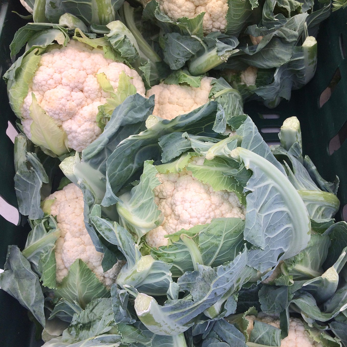 Interview: The Trading Post Farm Shop with Kate Forbes | by South ...