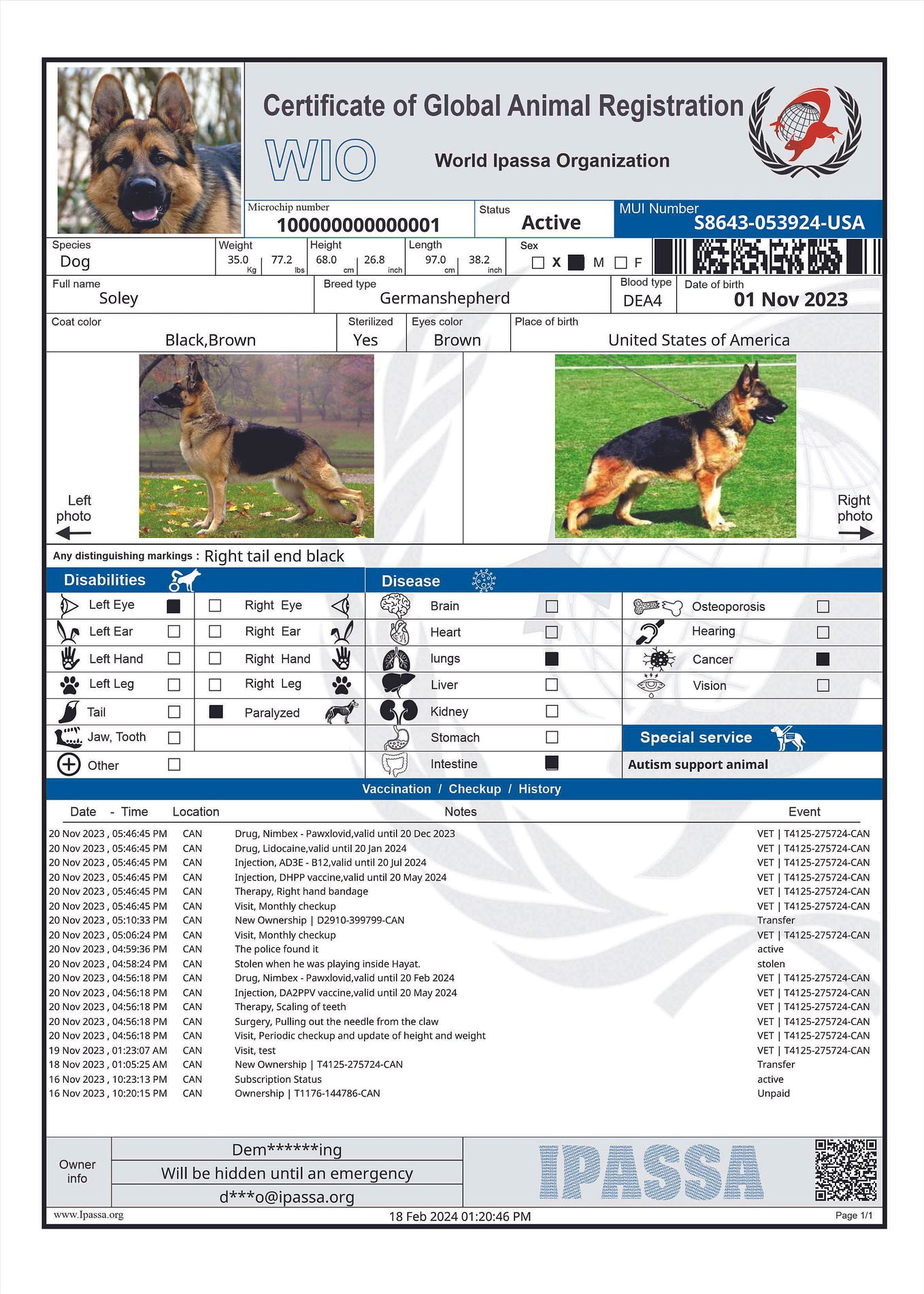 Everything you need to know about International Animal Passport | by ...