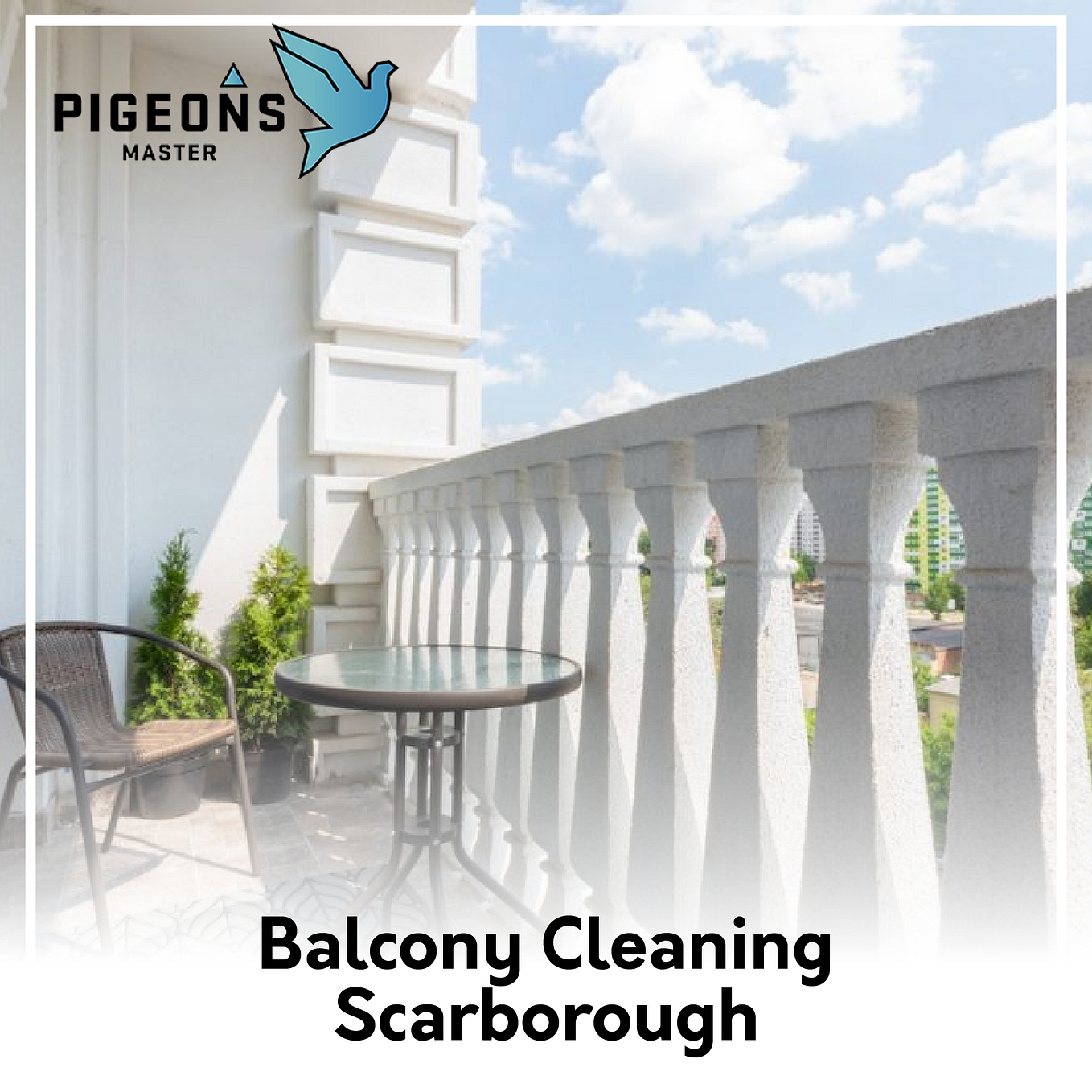 Safeguard Your Space with Pigeon’s Master: Effective Bird Removal in ...