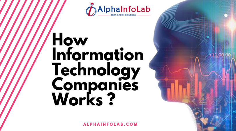How Information Technology helps business growth? | by AlphaInfolab ...