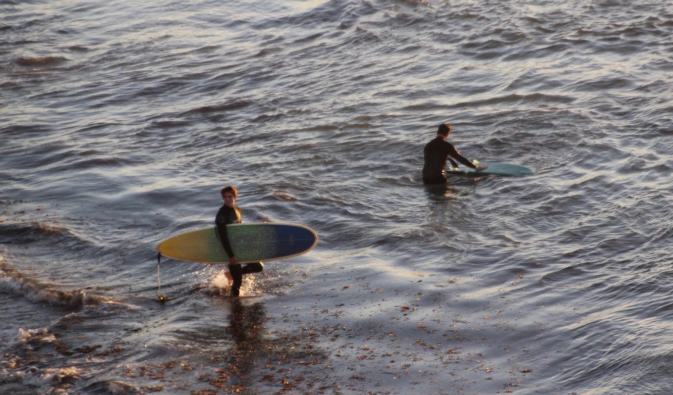 ‘Power to Save the World: The Truth About Nuclear Energy’ by Gwyneth ...