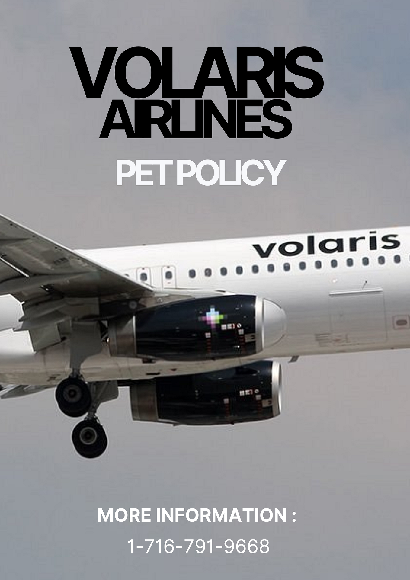 Volaris airlines Check in Policy[1–716–791–9668] | by Rubert | Jun ...