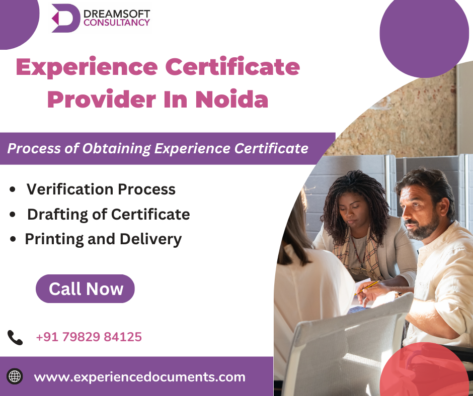 Experience Certificate Provider In Delhi-7982984125 | by Dream Soft Consultancy | Medium