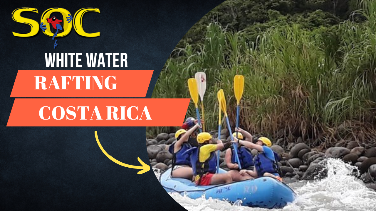 Best Whitewater Rafting in Costa Rica For Every Level - Jonsnow - Medium