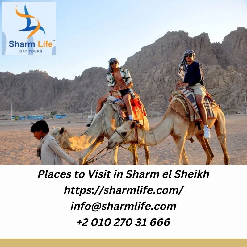 Safari Trip Sharm el Sheikh - Sharm Life - Medium