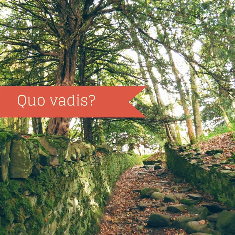About the Project. The overarching aim of the study is to… | by Dr ...