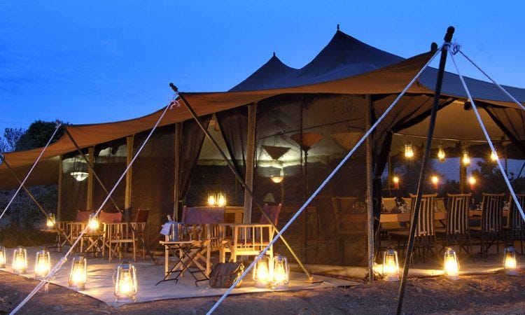 The Best Kenya Safari Tours: Learn More About It | by My Price Africa ...