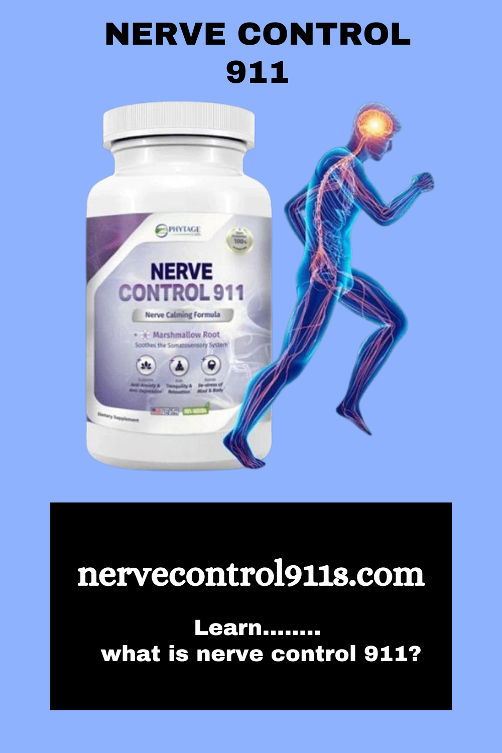 Nerve Control 911. Unraveling the Promise of Nerve Control… | by ...