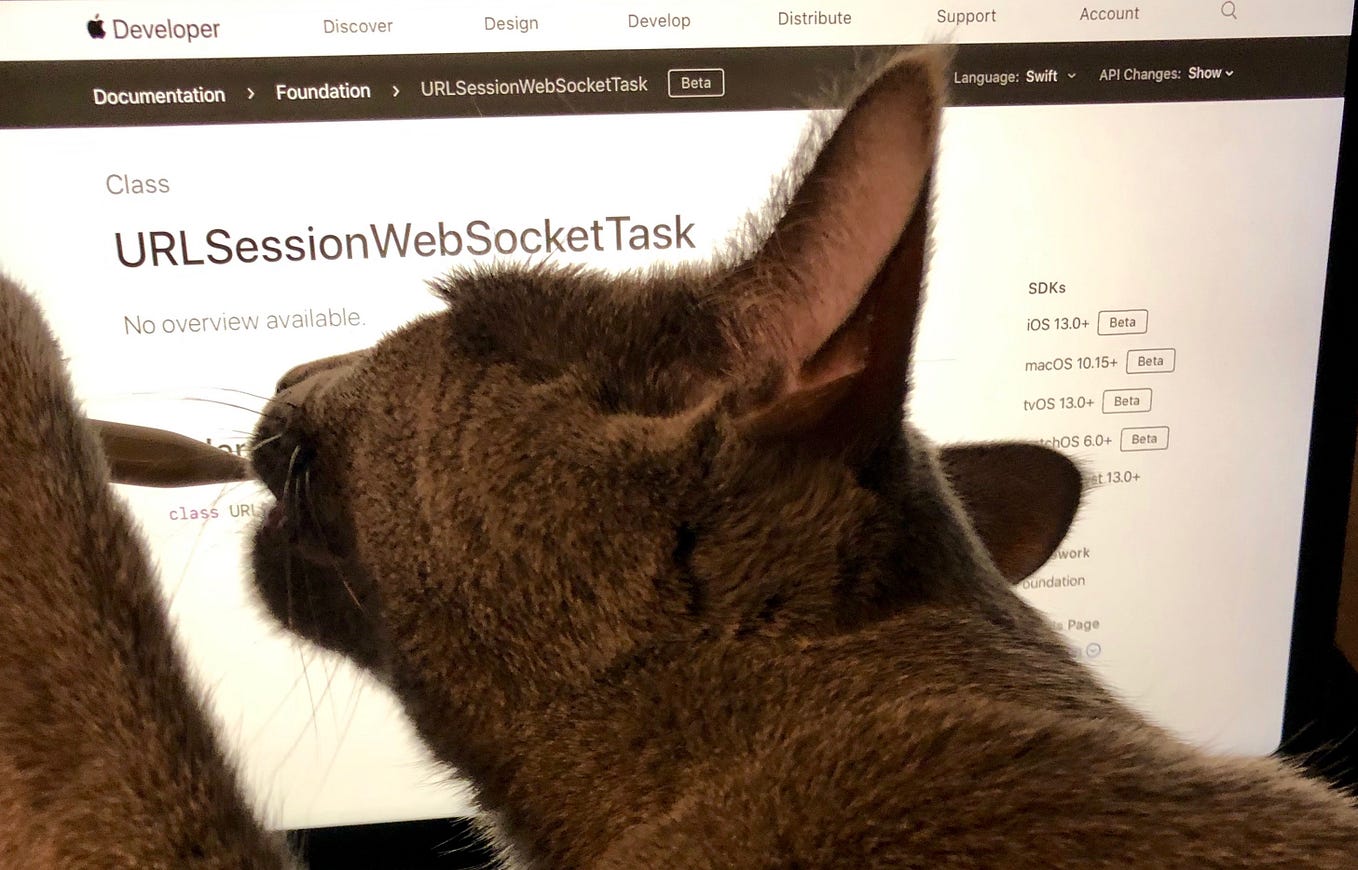 How to show text inside a circle with SwiftUI | by Kristaps Grinbergs | Level Up Coding