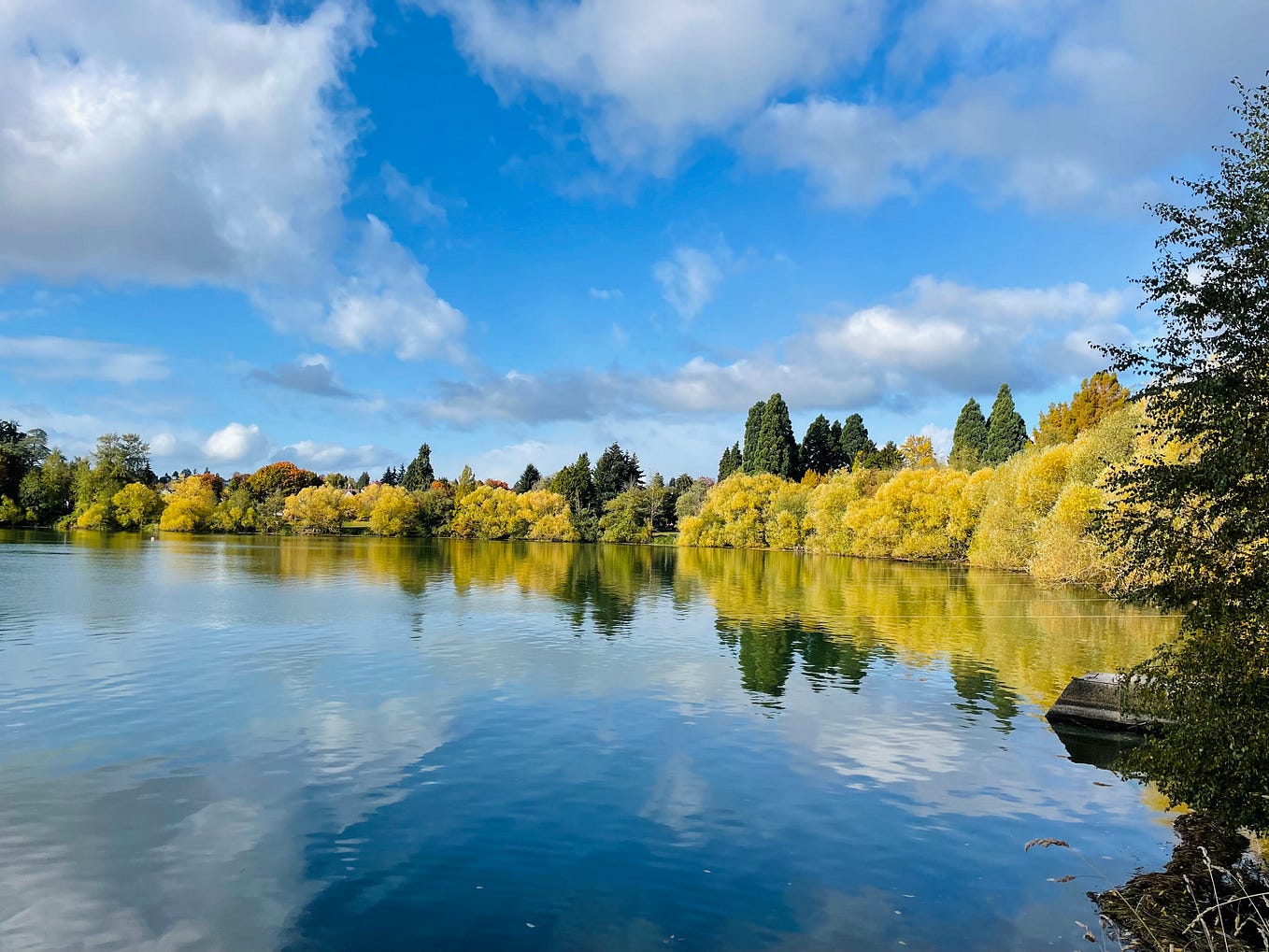 Invoice or Bill Custom Parsing using Kor (LangChain Extension), Open AI’s GPT 3.5 & Prompt ...