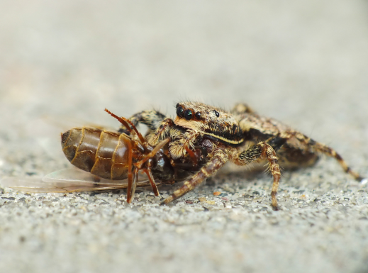 Which Season Do Animals Prefer?. When it comes to wildlife in the… | by ...