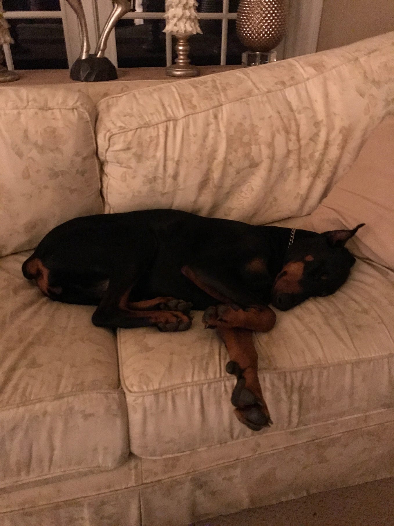 ENG 122 Reflection Piece. In my time at English 122 I was able to… | by ...