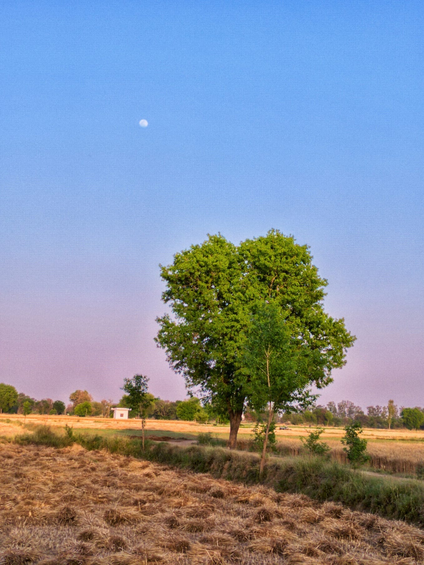 The secret life of ankit0r. I sit in a quiet place, | by Ankit Mor | Medium