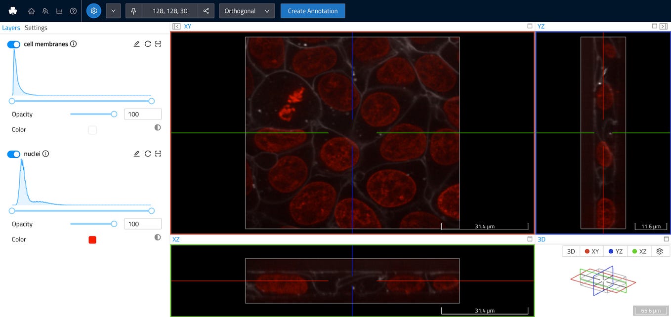 Using Zarr Datasets with webKnossos | by Tom Herold | WEBKNOSSOS | Medium
