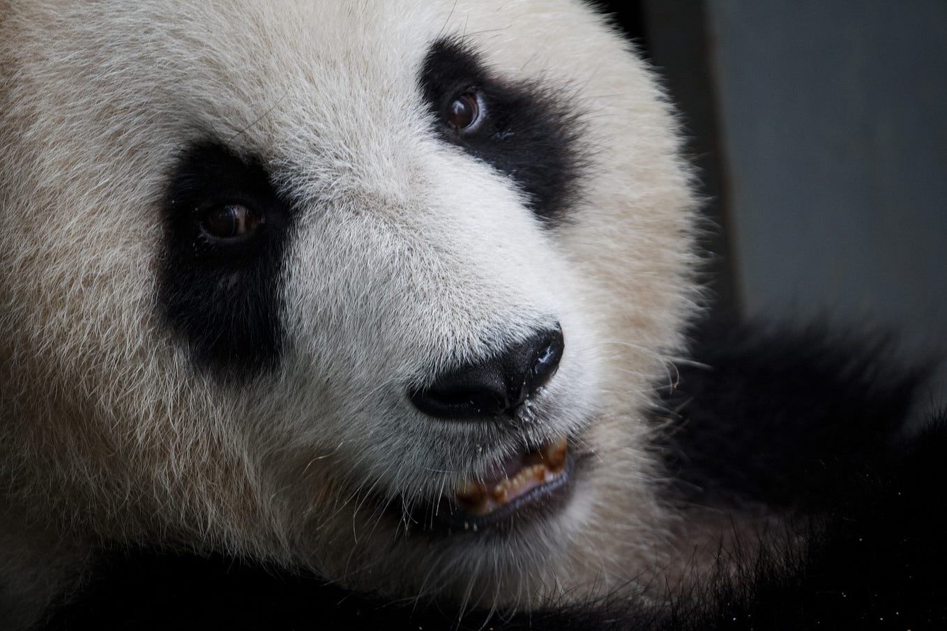 37 Beloved Children’s Books That’ll Leave You Feeling Nostalgic | by ...