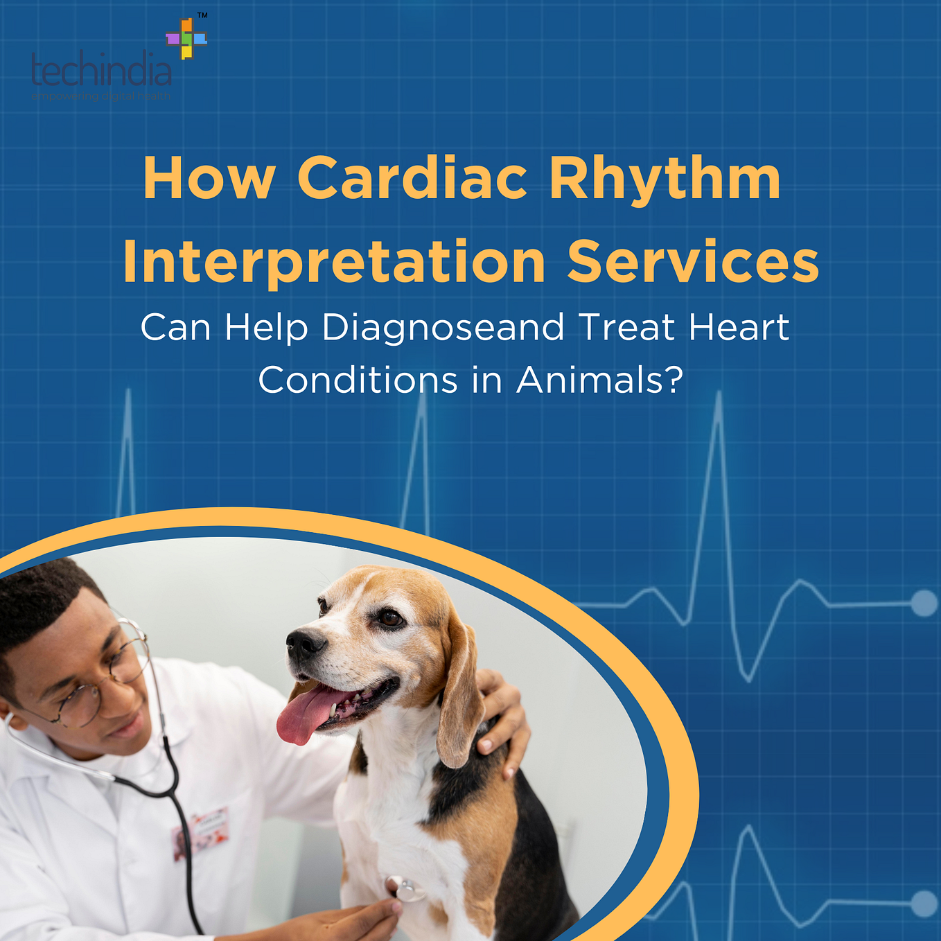 Maintaining Heart Health: Delving into Implant Monitoring Services for ...