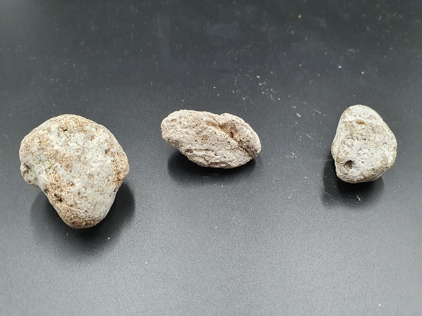 Is Ambergris Whale Vomit or Whale Poo? | by Ambergris Connect | Medium