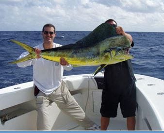 Miami sailfish charters - Donald Cearley - Medium