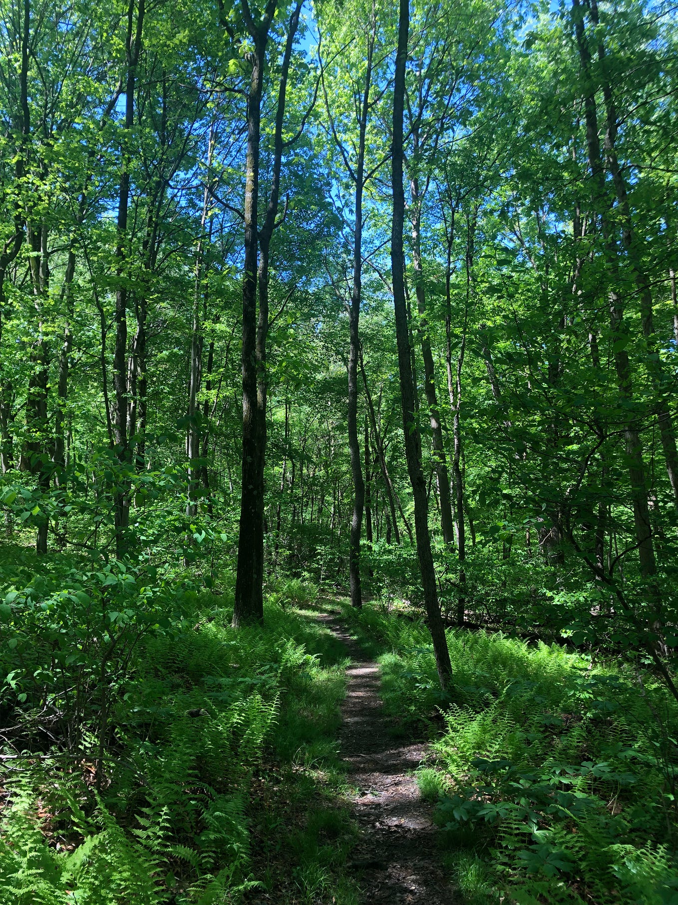 Steely blue skies are amazing! - Laura Lind - Medium