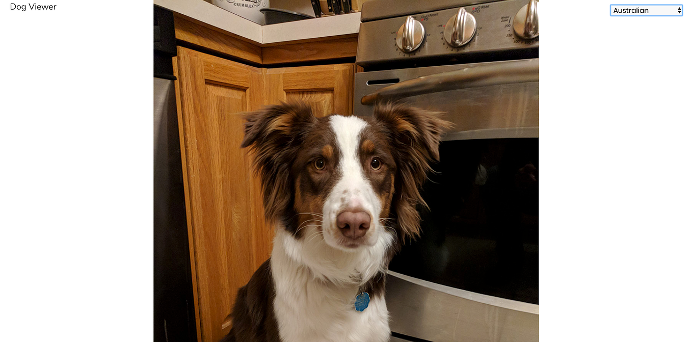 Process Images with Python PIL. Have you ever felt stuck trying to… | by Oteri Eyenike ...