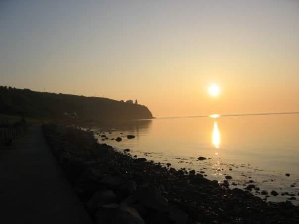 The Arduino Mega 2560, its clones, and communicating with the ESP32 ...