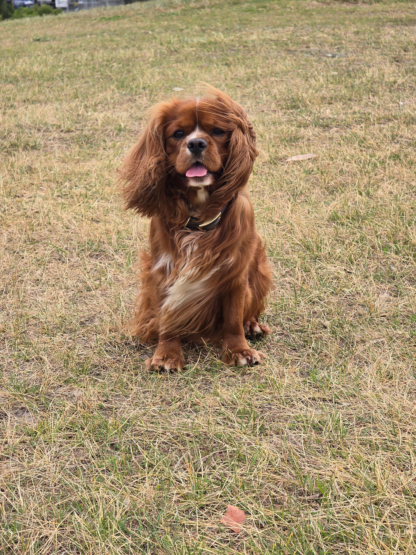 The Best (and Most Unexpected) Books I Read in 2024 | by Cyrille Jeufo ...