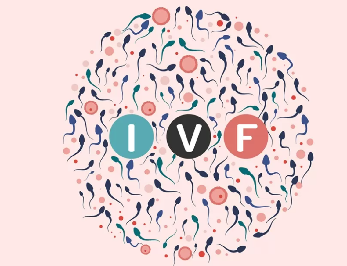 What Is IVF Treatment Procedures Stages & Success Rate | by Australian Concept Infertility ...