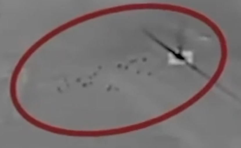 Most used Programming languages for Bioinformatics | by Ghazala Sultan ...