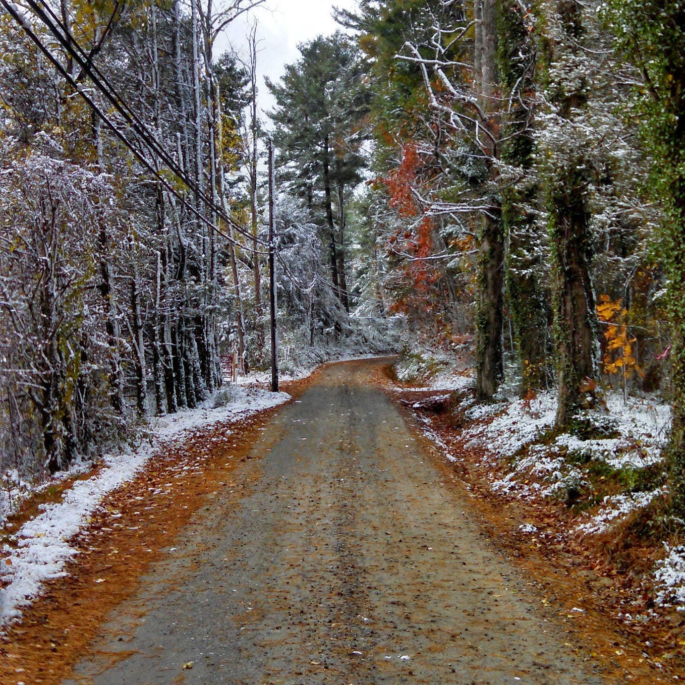 Hobbled, part 1. It only hurts when I walk, sit, rest… | by b2 (Bryan ...