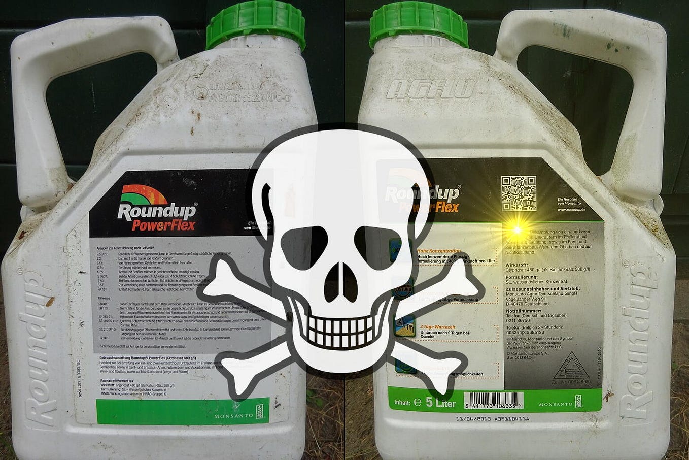 Learn How Project 2025 Threatens the Environment | by Kollibri terre Sonnenblume | Age of ...