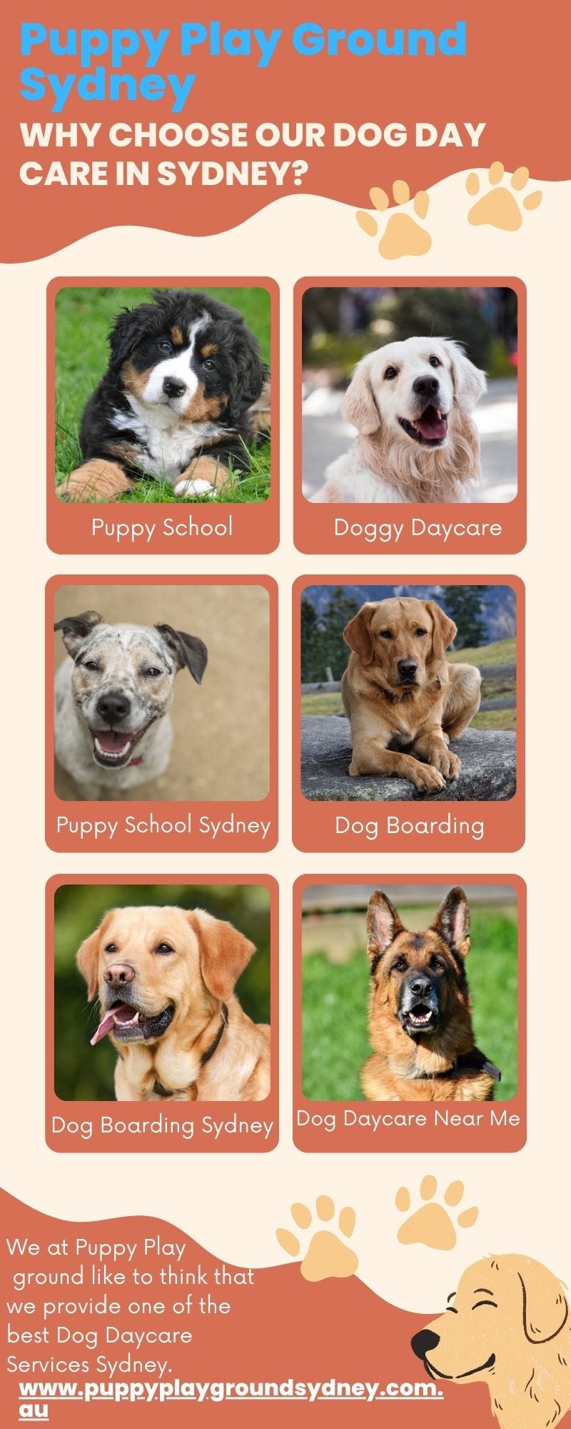 Discover the Joy of Learning Together: Puppy Preschool in Sydney | by ...