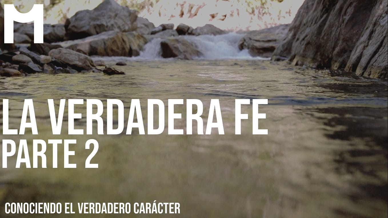 La Verdadera Fe (Parte 1). Una vez que el corazón ha sido… | by Meraki ...