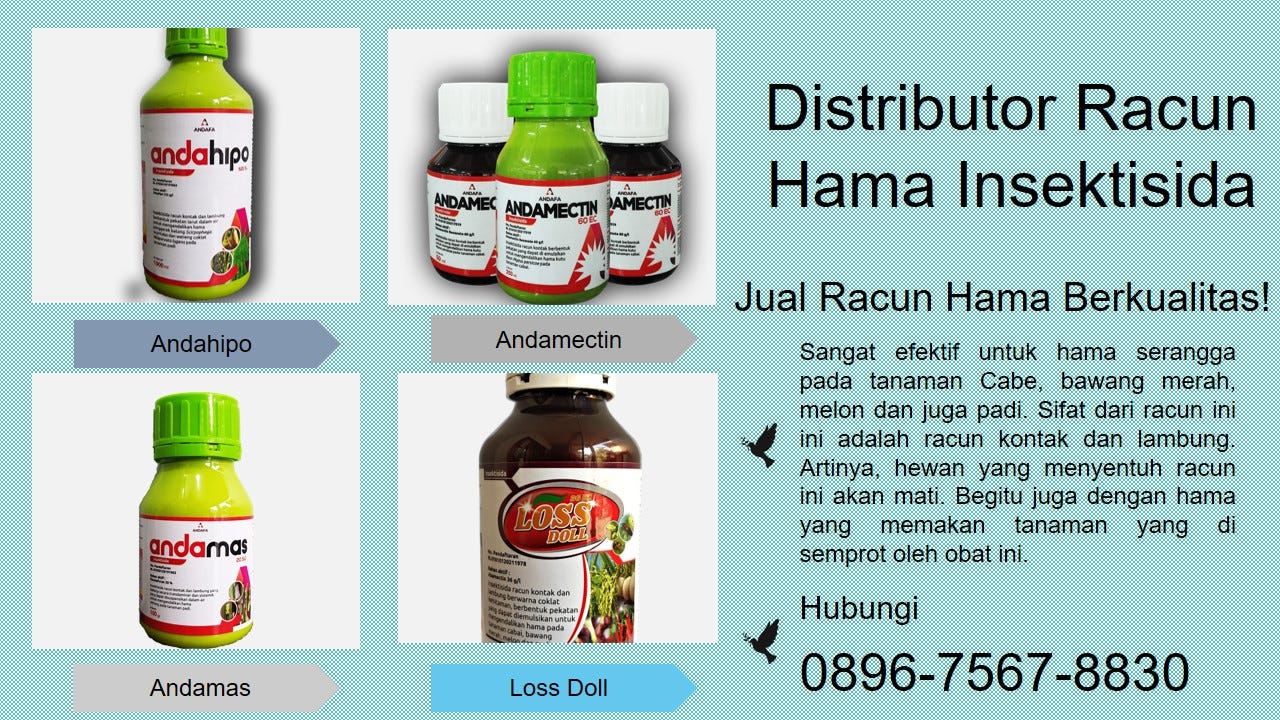 Distributor Racun Hama Tanaman Insektisida Di Solo | by ...