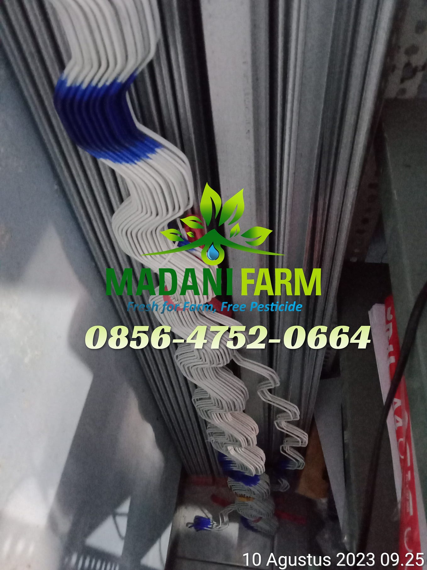 Distributor Springclip - Madani Agrotani - Medium